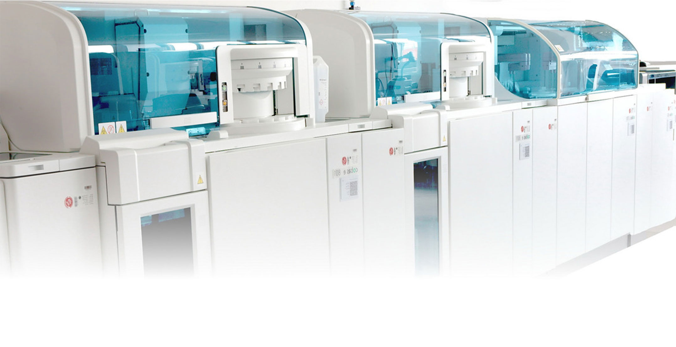 Wir sind ein führendes Dienstleistungsunternehmen auf dem Gebiet der ...